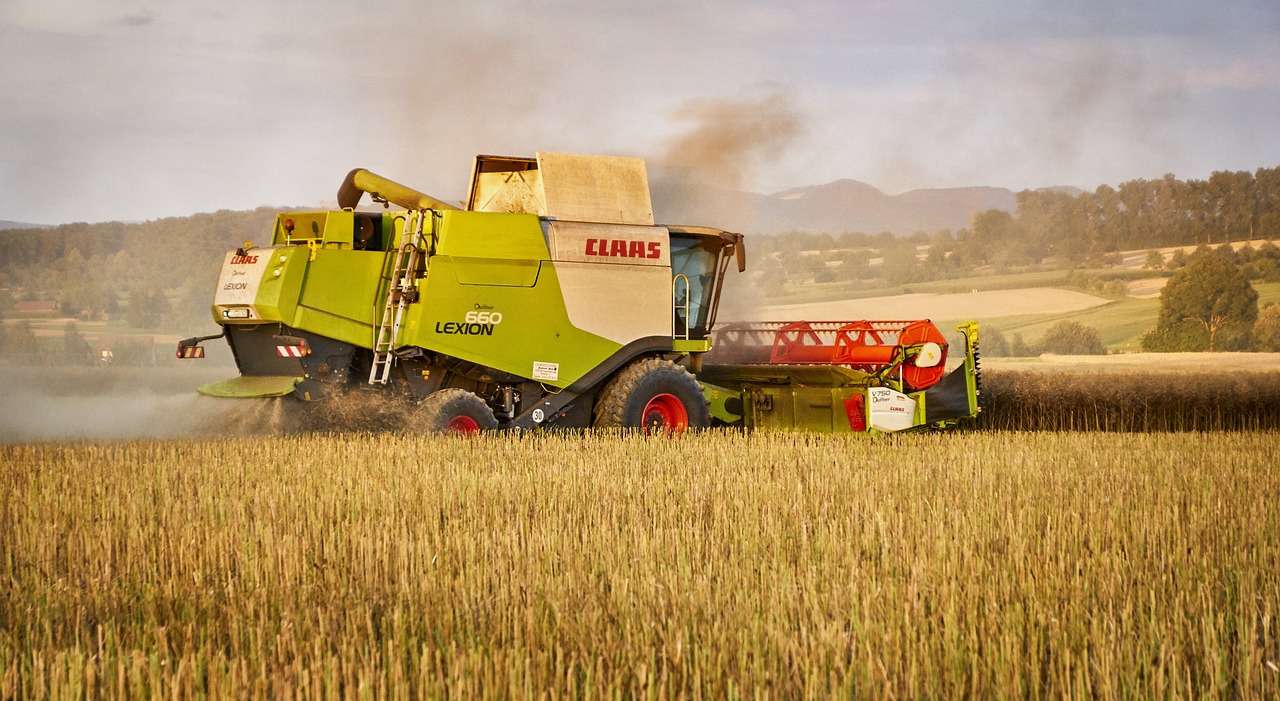 Rapeseed yields to tumble in 2018 harvest after dry weather - Longfields